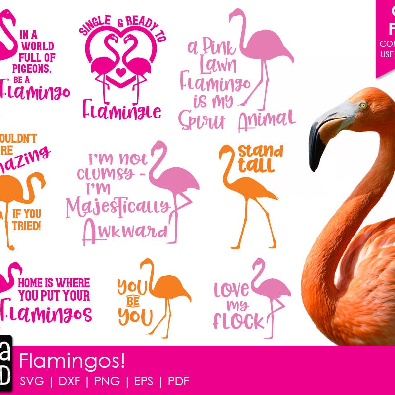 Flamingo Svg - Etsy
