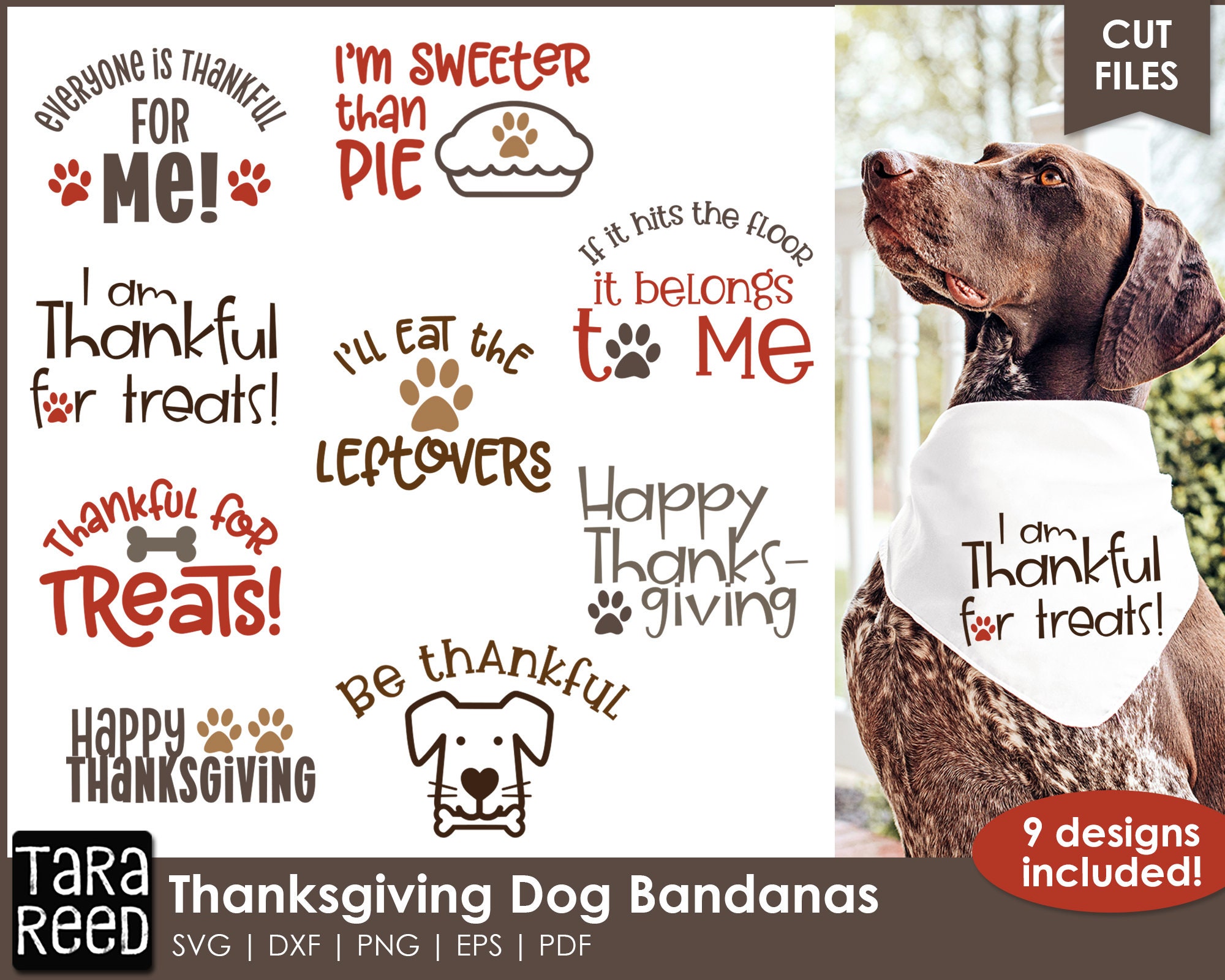 Thanksgiving Dog