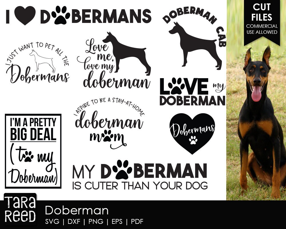 Doberman svg files Dog Lover svg Instant Download I Only Care About My ...