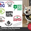 Foster Dog Dog SVG and Cut Files for Crafters - Etsy