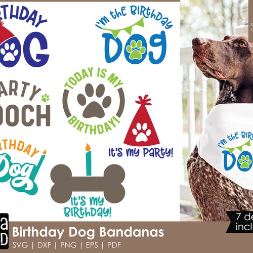 Foster Dog Dog SVG and Cut Files for Crafters - Etsy