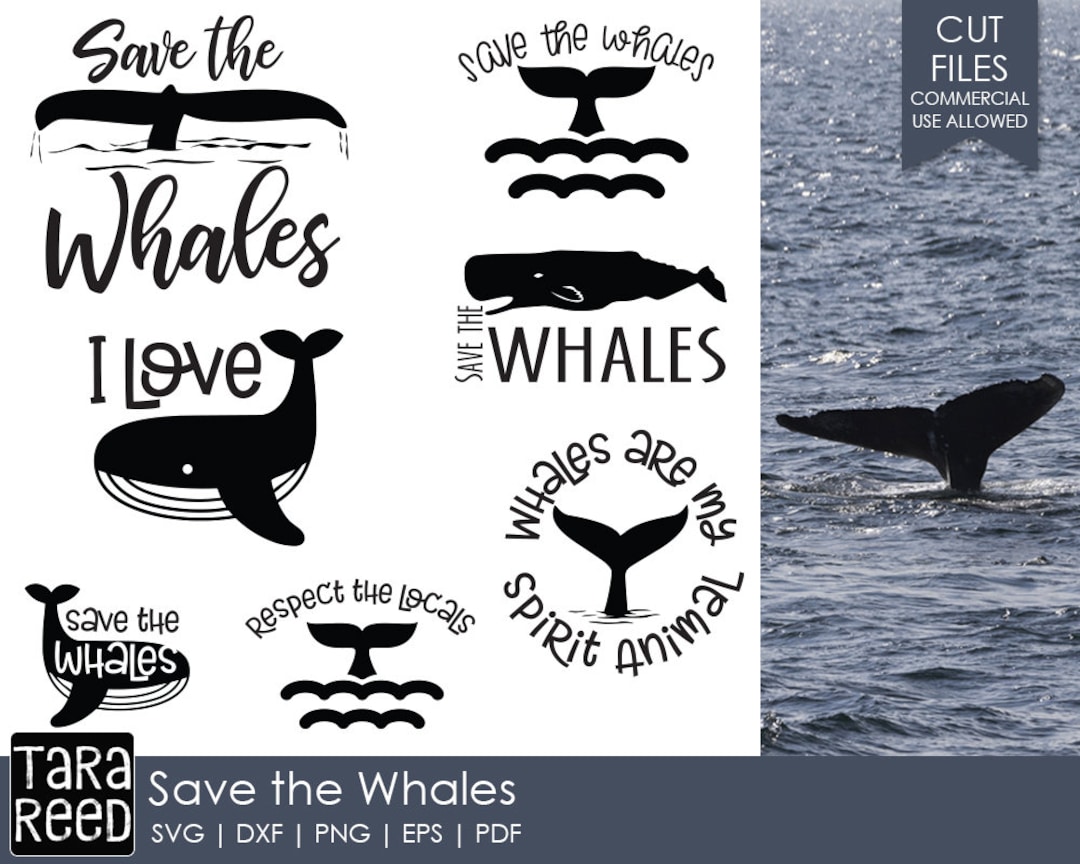 Save the Whales Whale SVG and Cut Files for Crafters - Etsy