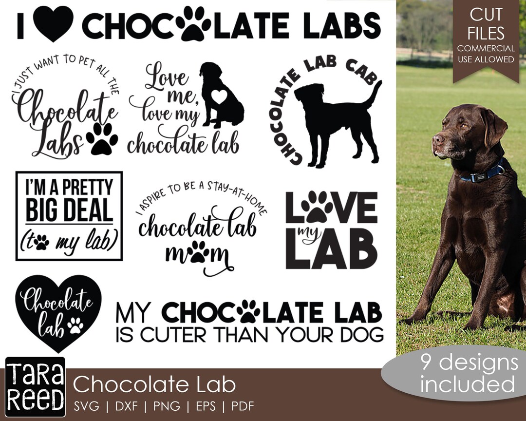 Chocolate Lab SVG and Cut Files for Crafters - Etsy UK