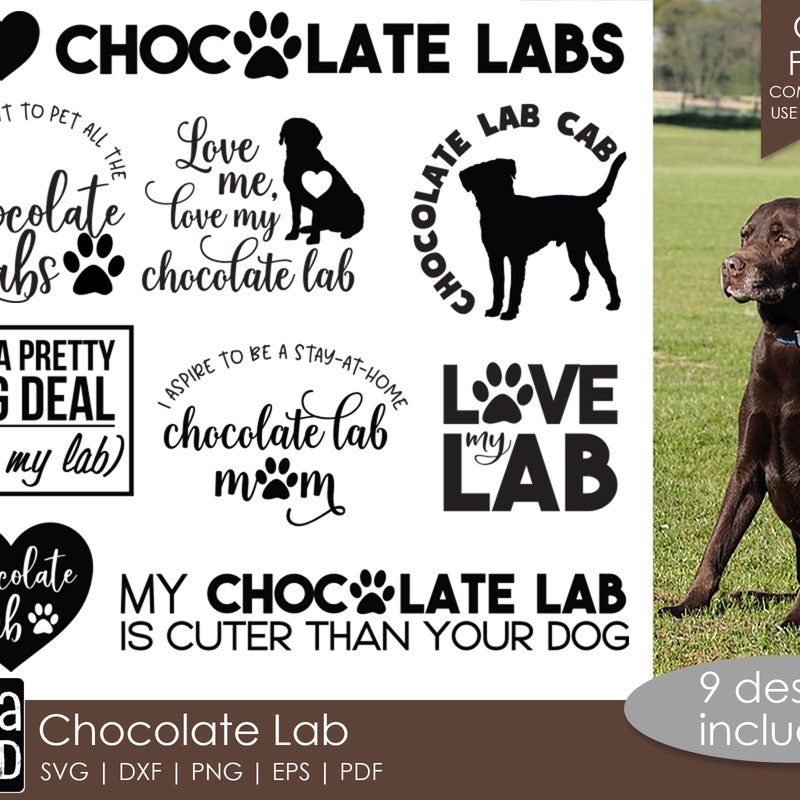Lab Dog Svg - Etsy