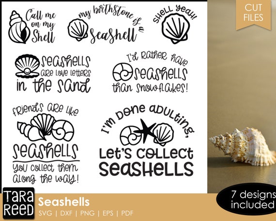 Seashells SVG and Cut Files for Crafters - Etsy