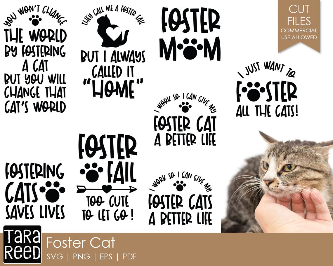 Foster Cat - Cat SVG and Cut Files for Crafters - Etsy
