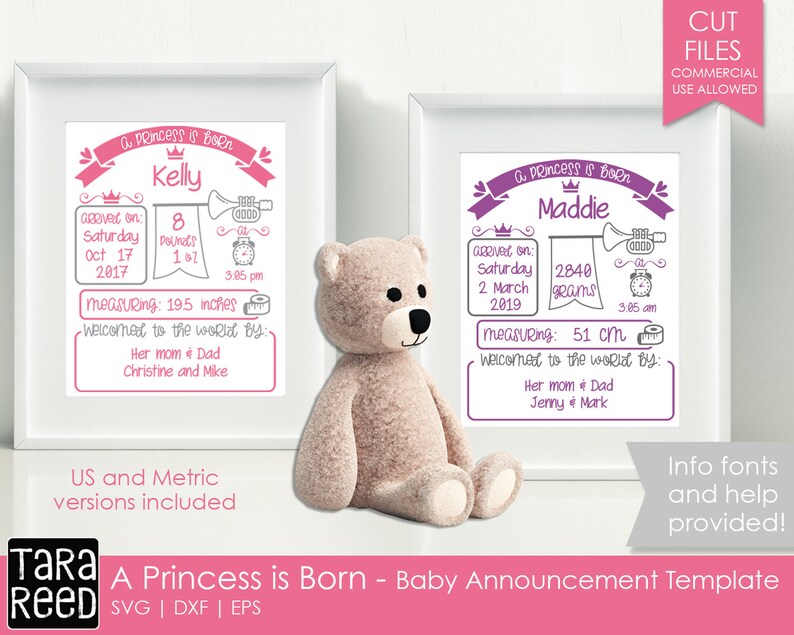 A Princess is Born Baby Stats SVG and Cut Files for Crafters | Etsy