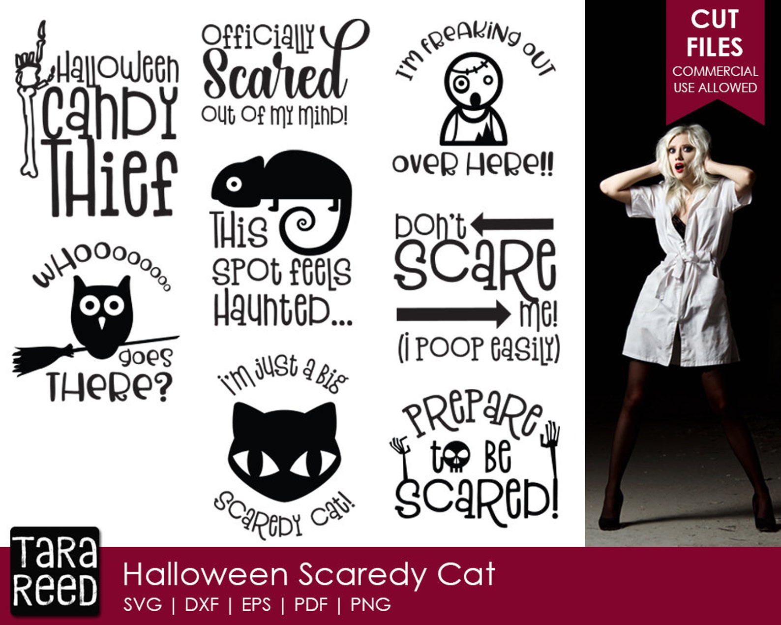 Halloween Scaredy Cat Halloween SVG and Cut Files for - Etsy