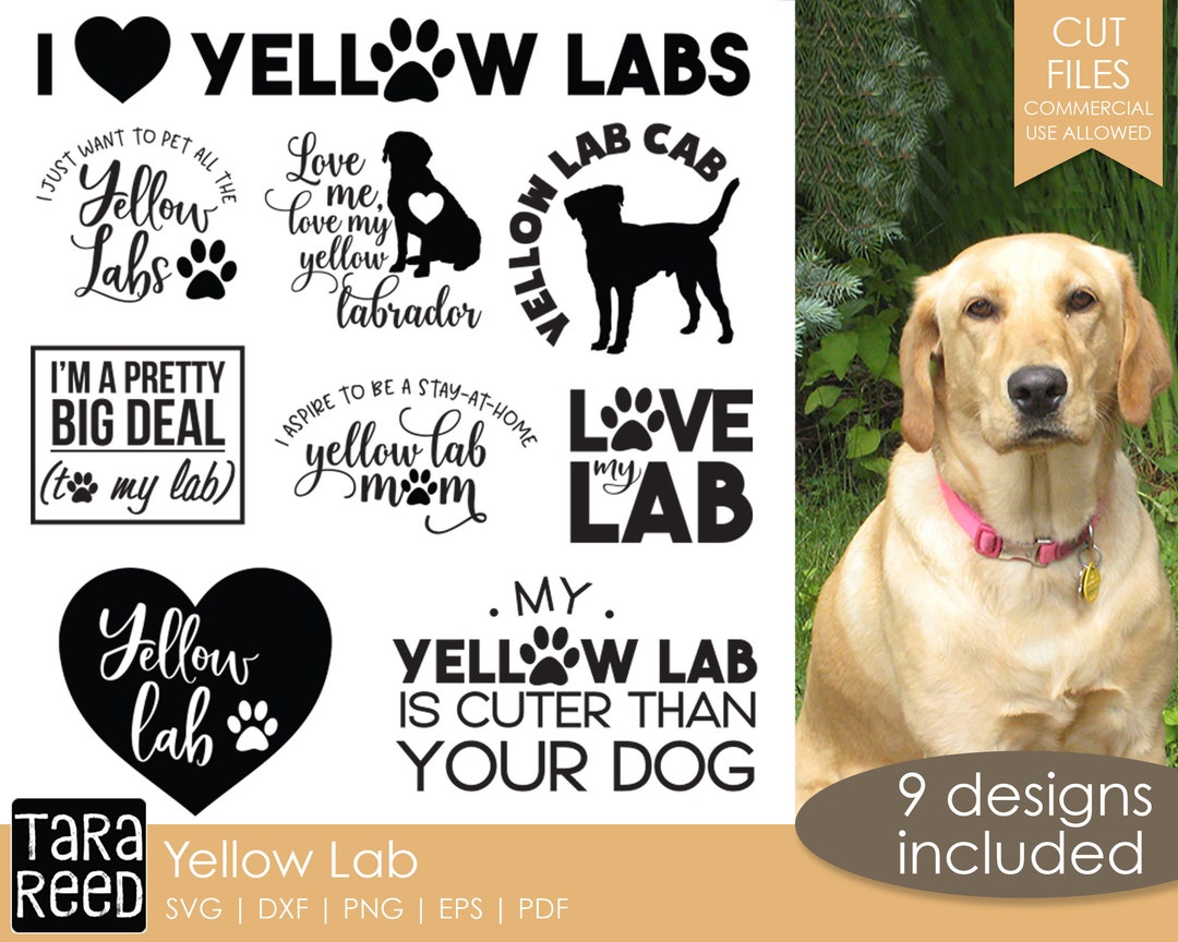 Yellow Lab SVG and Cut Files for Crafters - Etsy Portugal