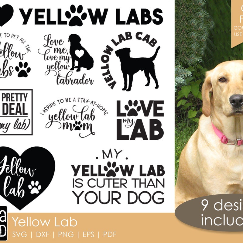 Yellow Lab - Etsy