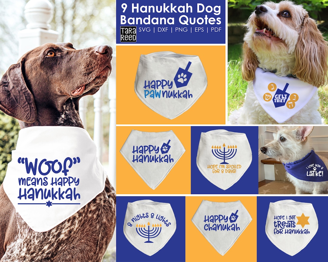 Chanukah Dog Costume