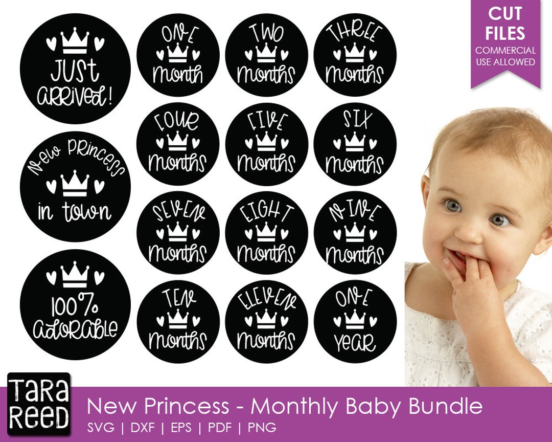 New Princess Monthly Baby - Baby SVG and Cut Files for Crafters - Etsy