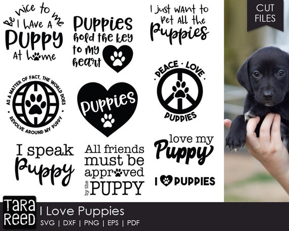 Puppy Face SVG,Dog Split Monogram Frame,Pet,Name,Baby Shower,Puppy Svg ...