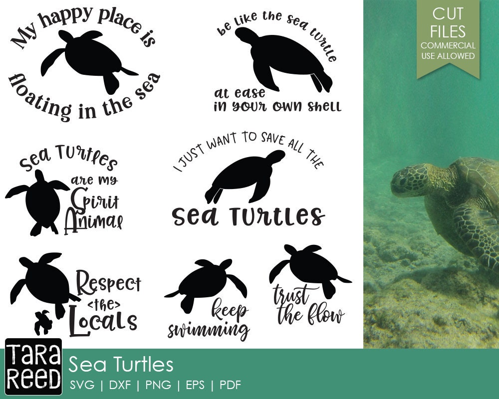 Sea Turtles - Sea Turtle SVG and Cut Files for Crafters - Etsy