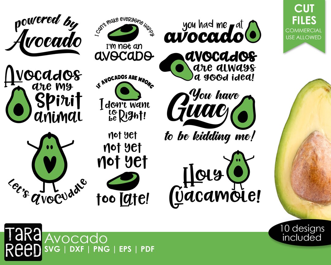 Avocado SVG and Cut Files for Crafters - Etsy