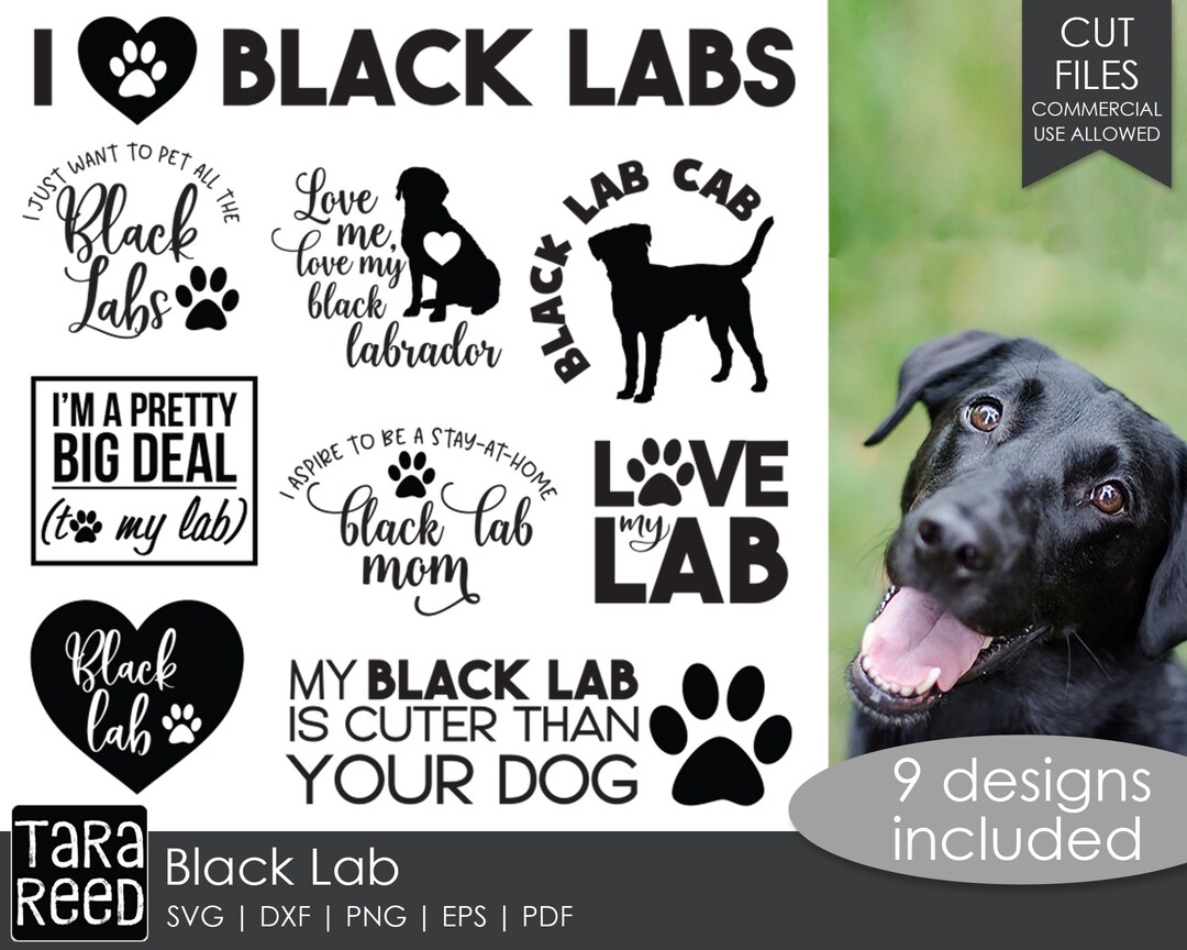 Black Lab SVG and Cut Files for Crafters - Etsy