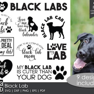 Black Lab SVG and Cut Files for Crafters - Etsy