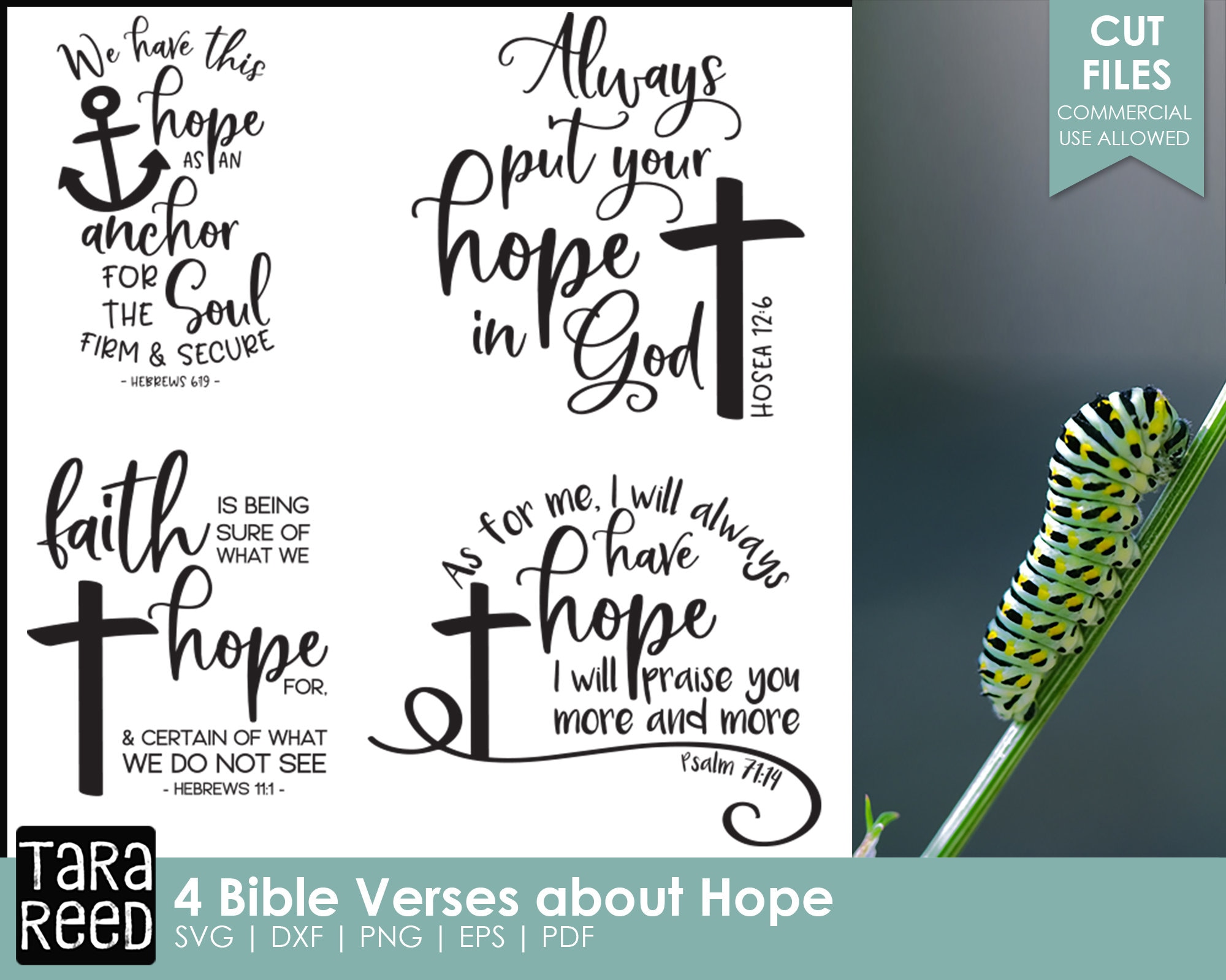 Bible Verse About Hope