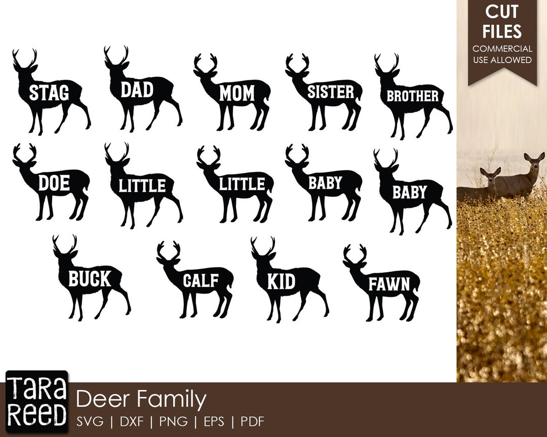 Deer Family - Hunting SVG and Cut Files for Crafters - Etsy