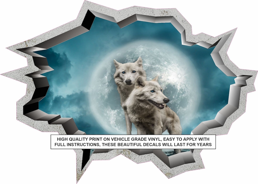 Motor Home Vinyl Graphic Sticker Camper Van RV Caravan 70 Cm X 40cm 2 ...