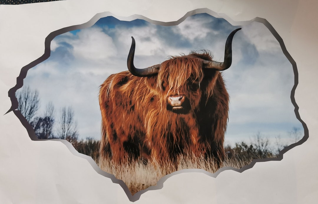 Motorhome Vinyl Graphic Sticker Campervan RV Caravan 70x45cm Highland ...