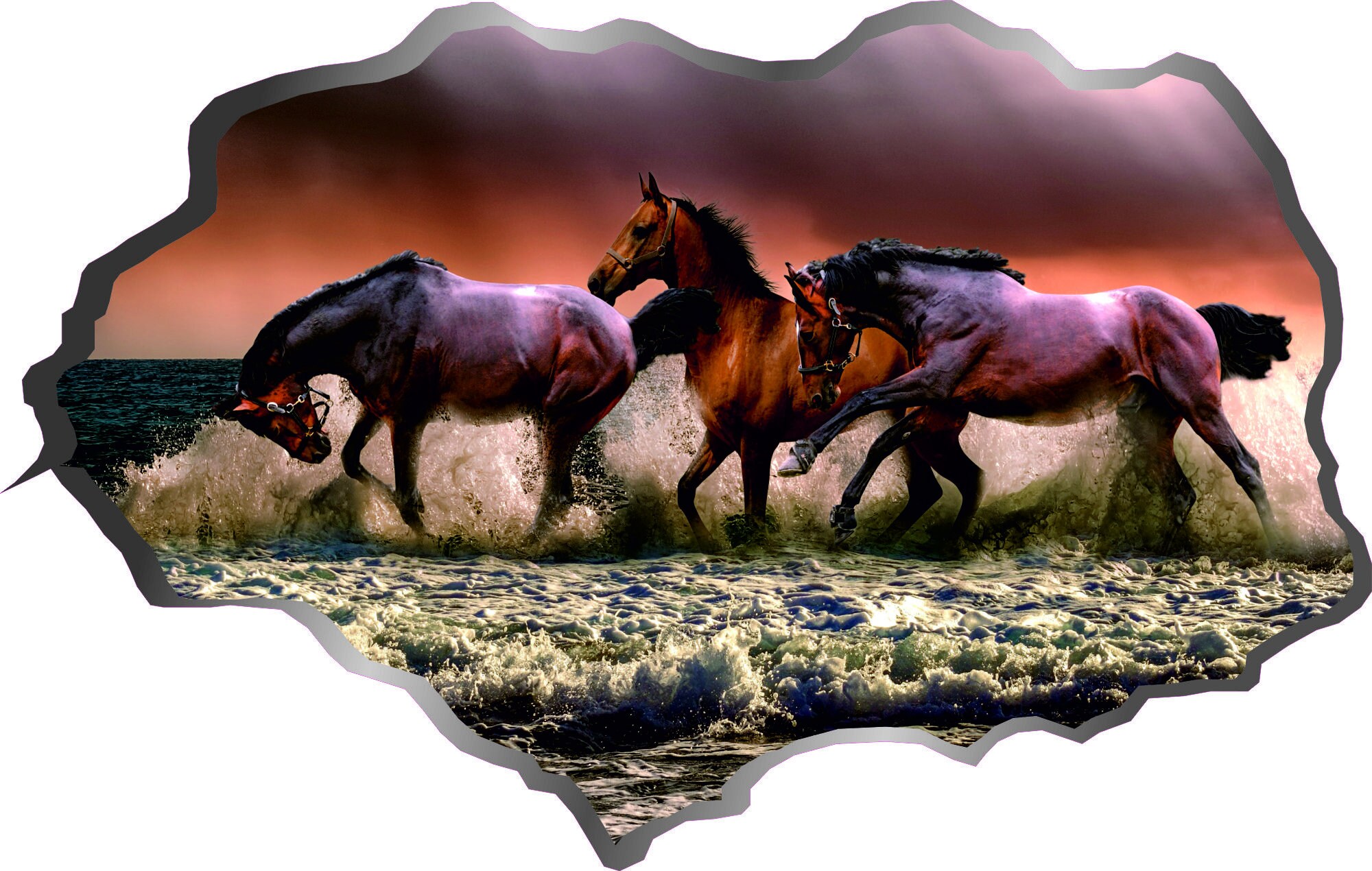 Motor Home Vinyl Graphic Sticker Camper Van RV Caravan 90CM X - Etsy UK