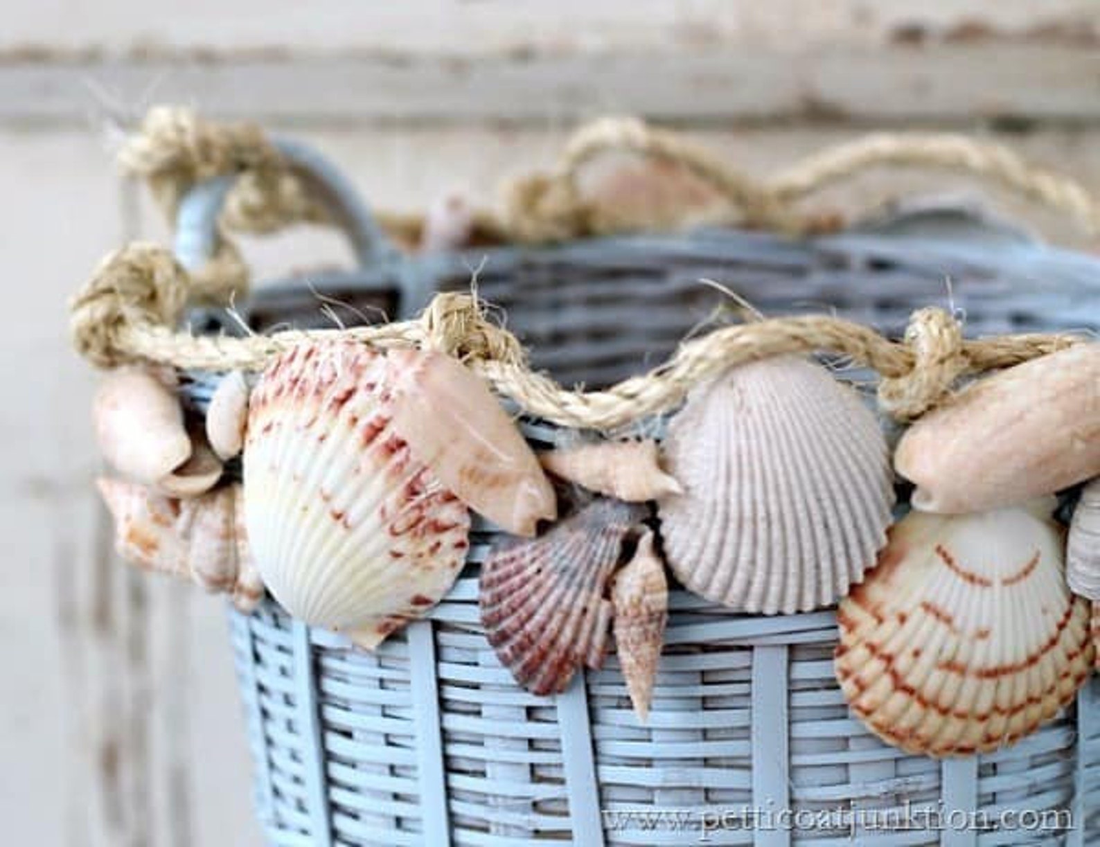 UK Scallop Shells. Sea Washed Natural. Pack of 10 Shells. - Etsy