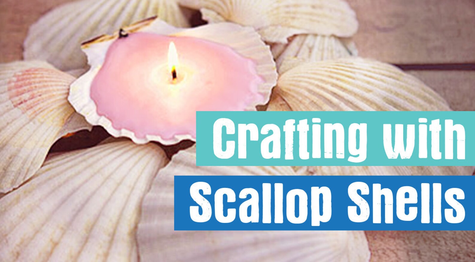 UK Scallop Shells. Sea Washed Natural. Pack of 10 Shells. - Etsy