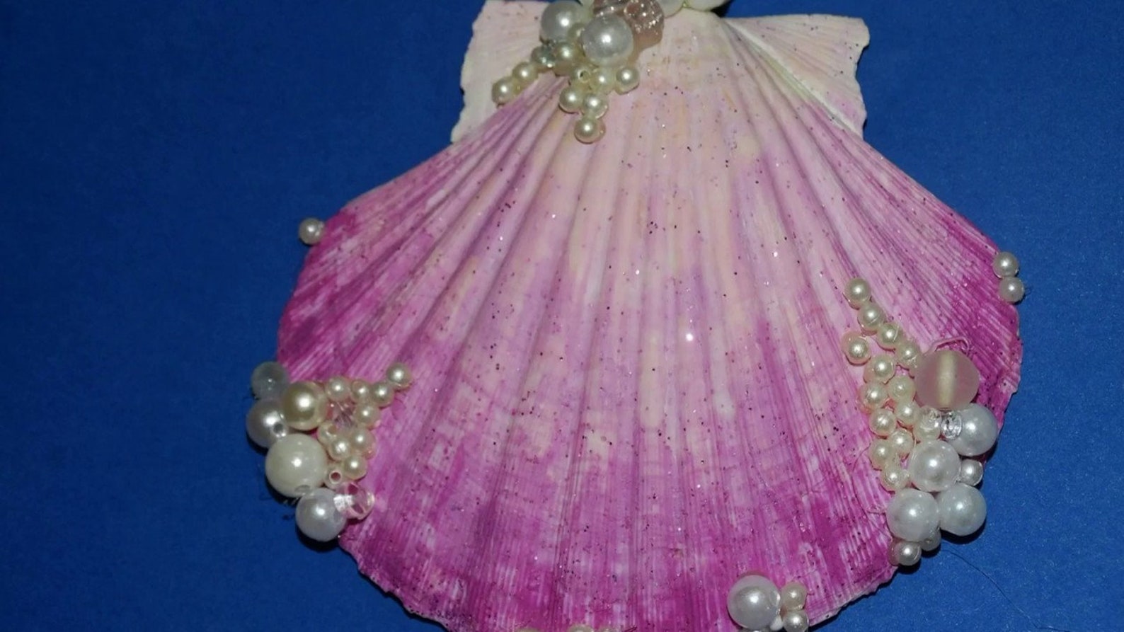 UK Scallop Shells. Sea Washed Natural. Pack of 10 Shells. - Etsy