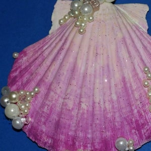 UK Scallop Shells. Sea Washed Natural. Pack of 10 Shells. Medium ...