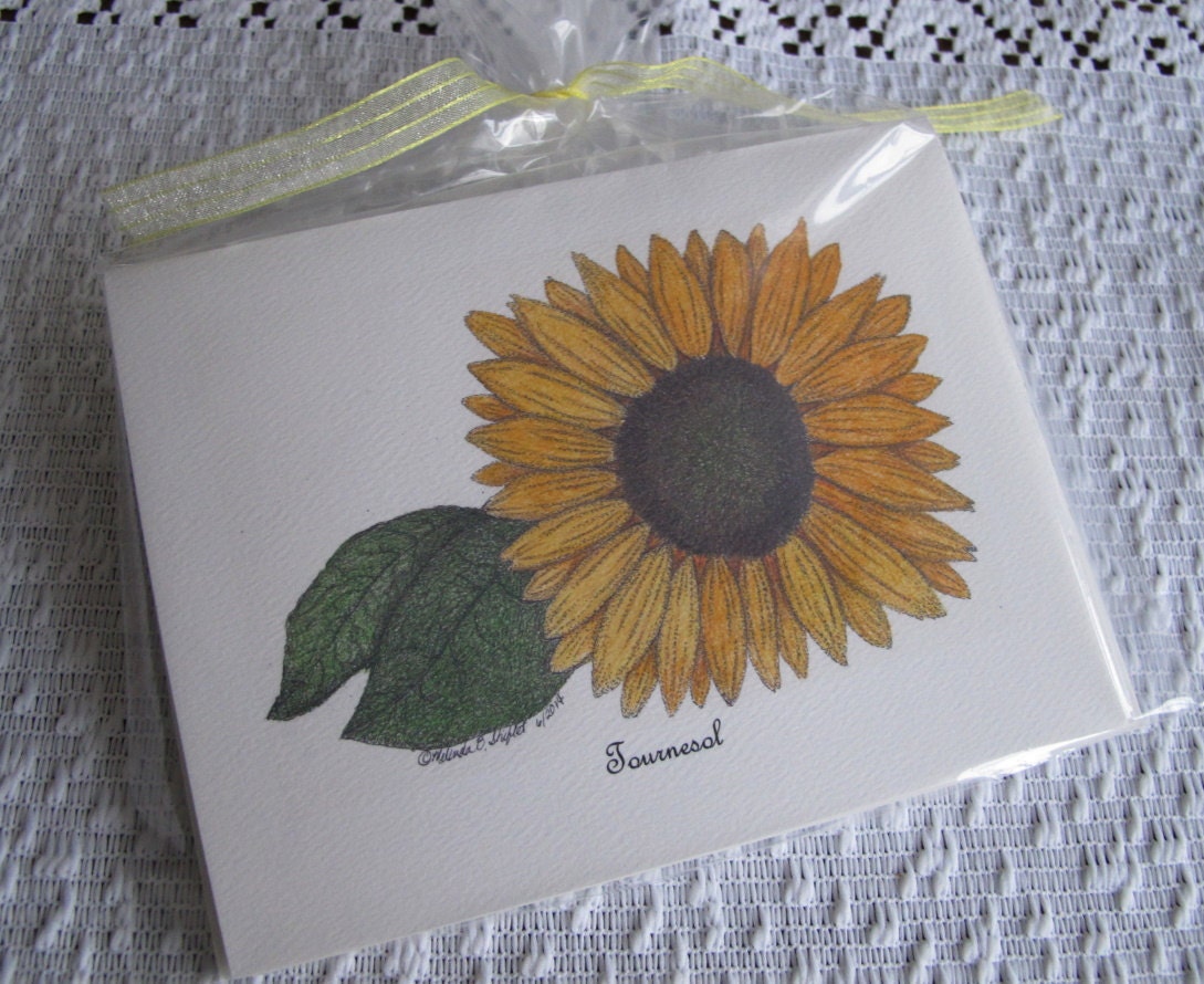 Sunflower Note Cards Pen and Ink and Colored Pencil | Etsy