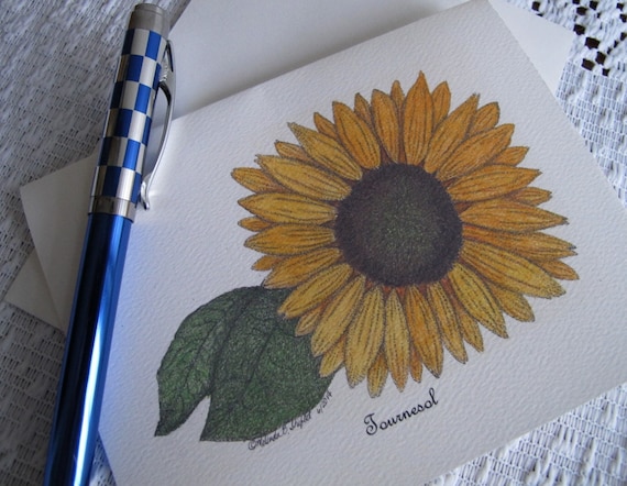 Sunflower Note Cards Pen and Ink and Colored Pencil | Etsy