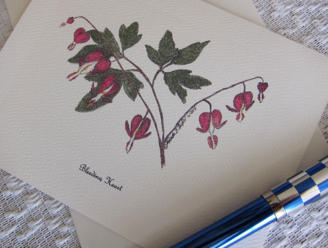 Bleeding Hearts Note Cards Illustrated With Pen and Ink and Colored ...
