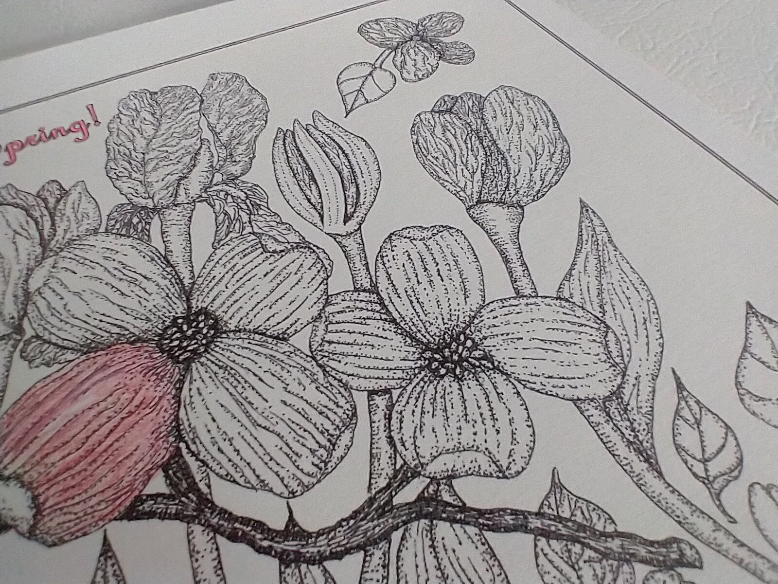 Spring Blossoms Coloring Page - Happy Spring! - Etsy