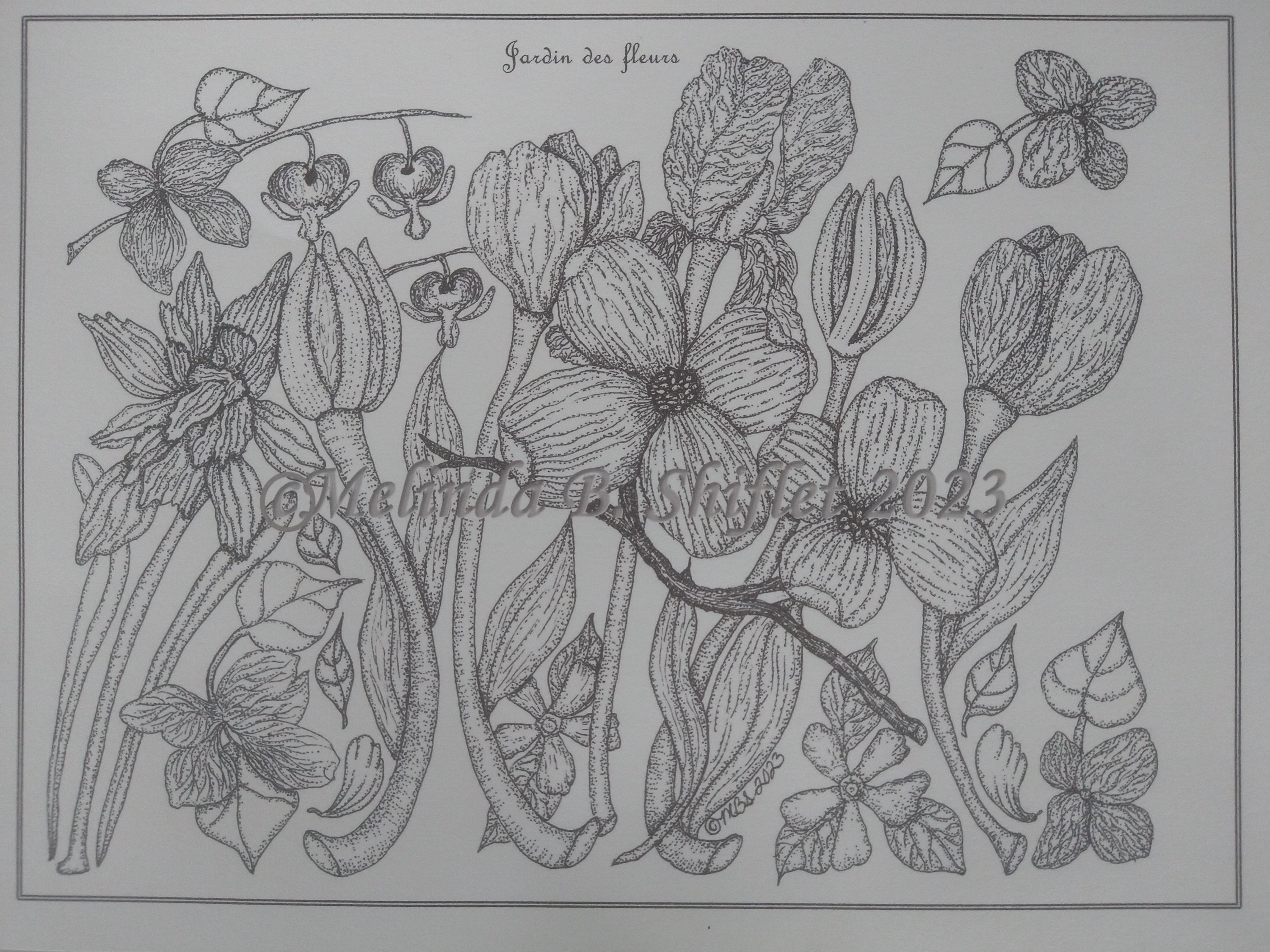 Spring Blossoms Coloring Page - Happy Spring! - Etsy