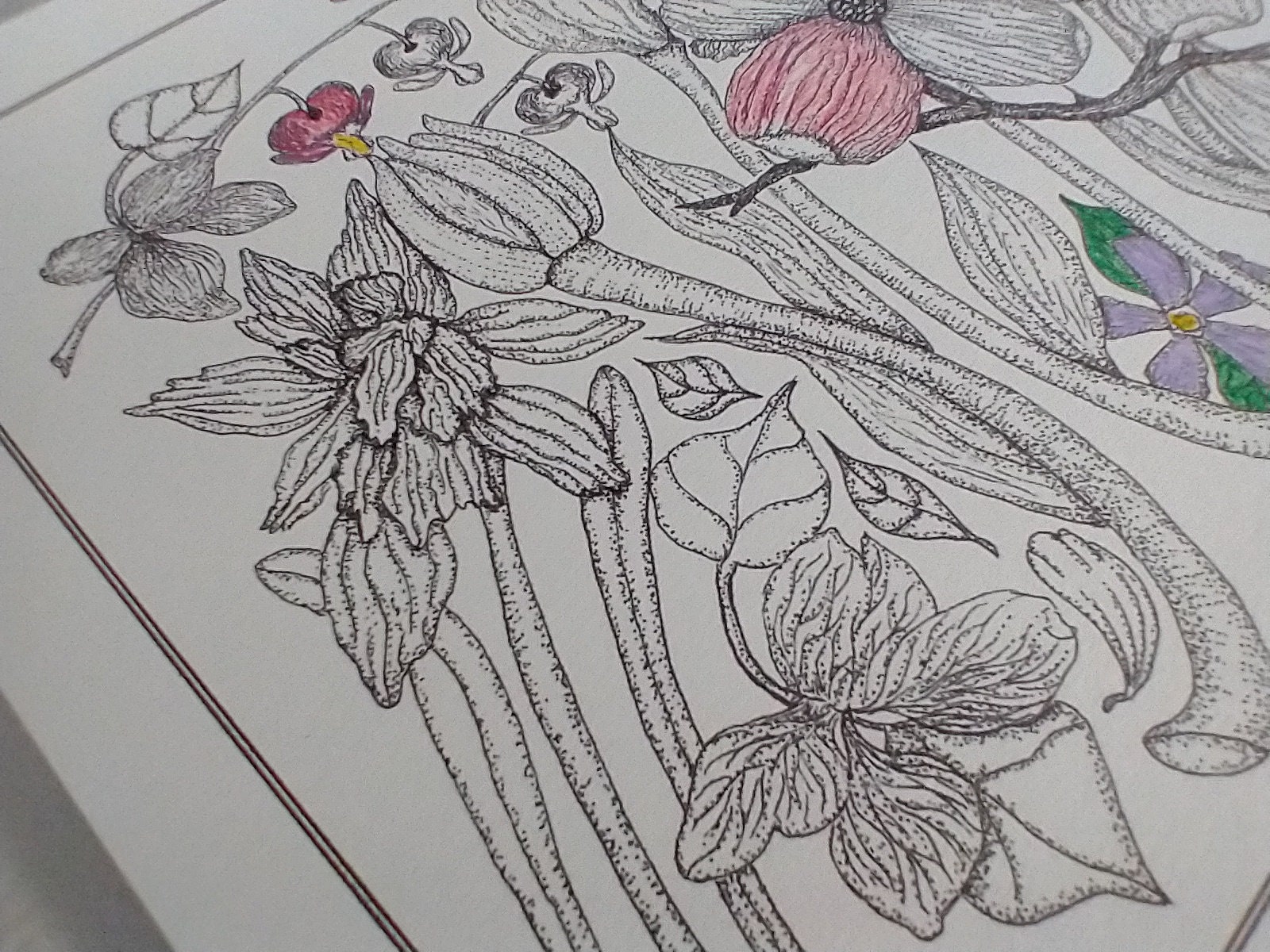 Spring Blossoms Coloring Page - Happy Spring! - Etsy