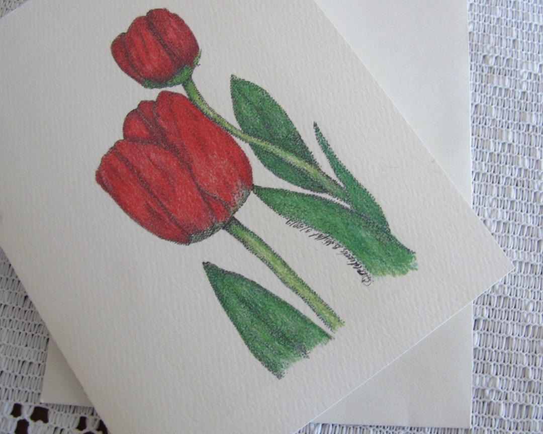 Red Tulips Note Cards Illustrated With Pen and Ink and Colored Pencil ...