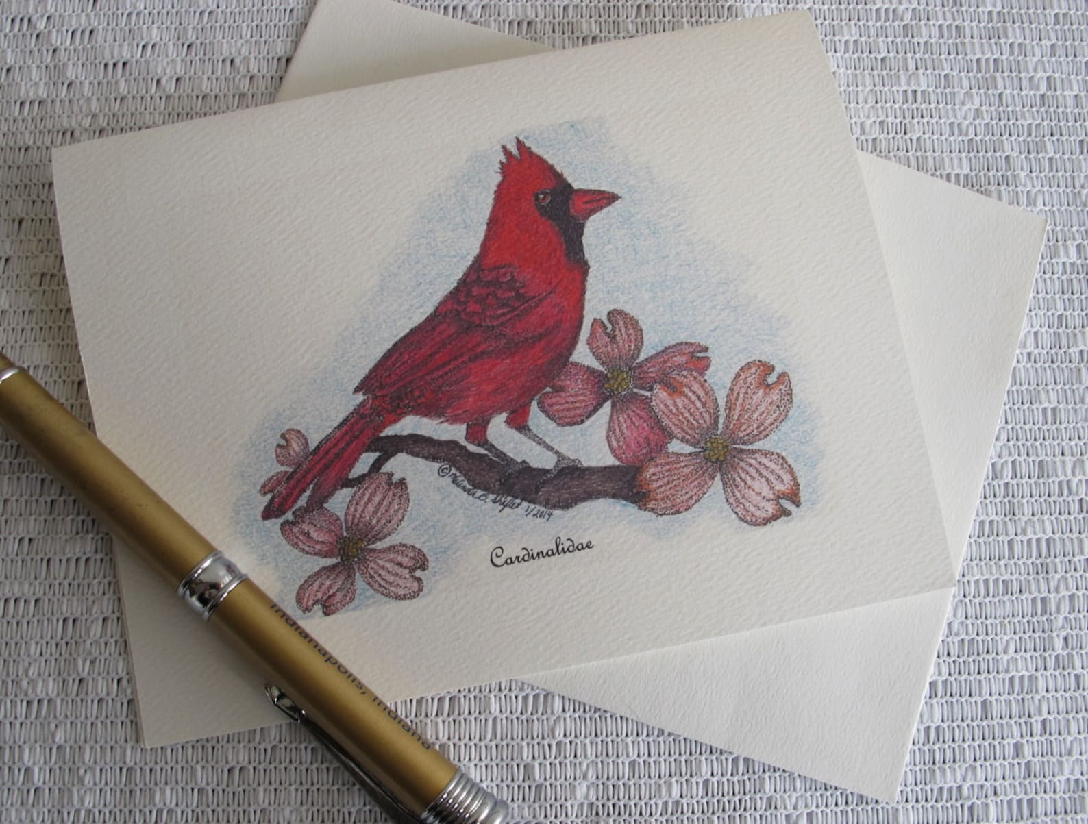 Pen and Ink Drawing of Cardinal and Dogwood Note Cards cardinalidae ...