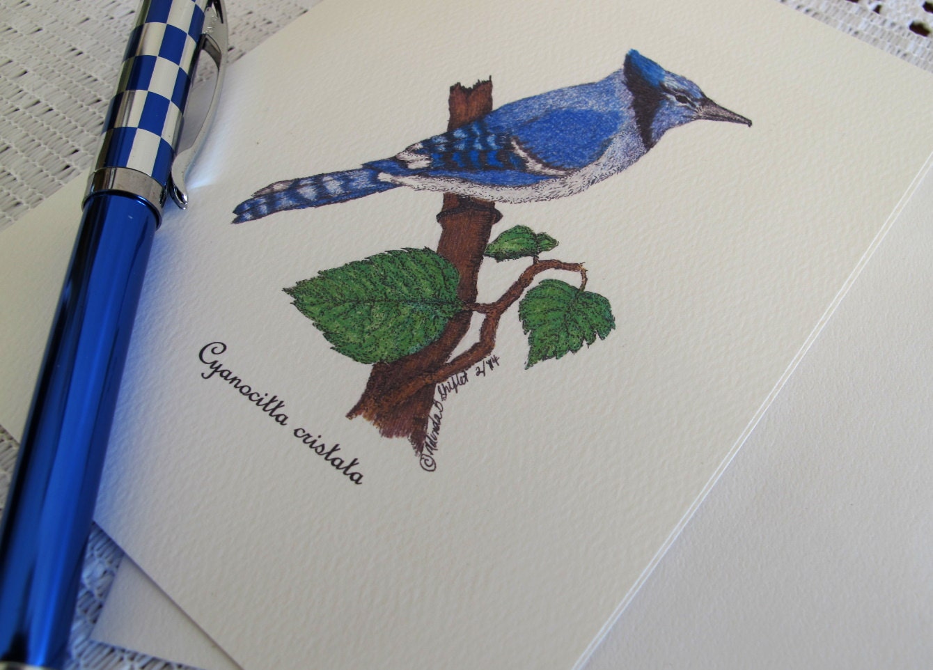 Bird Note Card Assortment Pack Illustrated With Pen and Ink and Colored ...