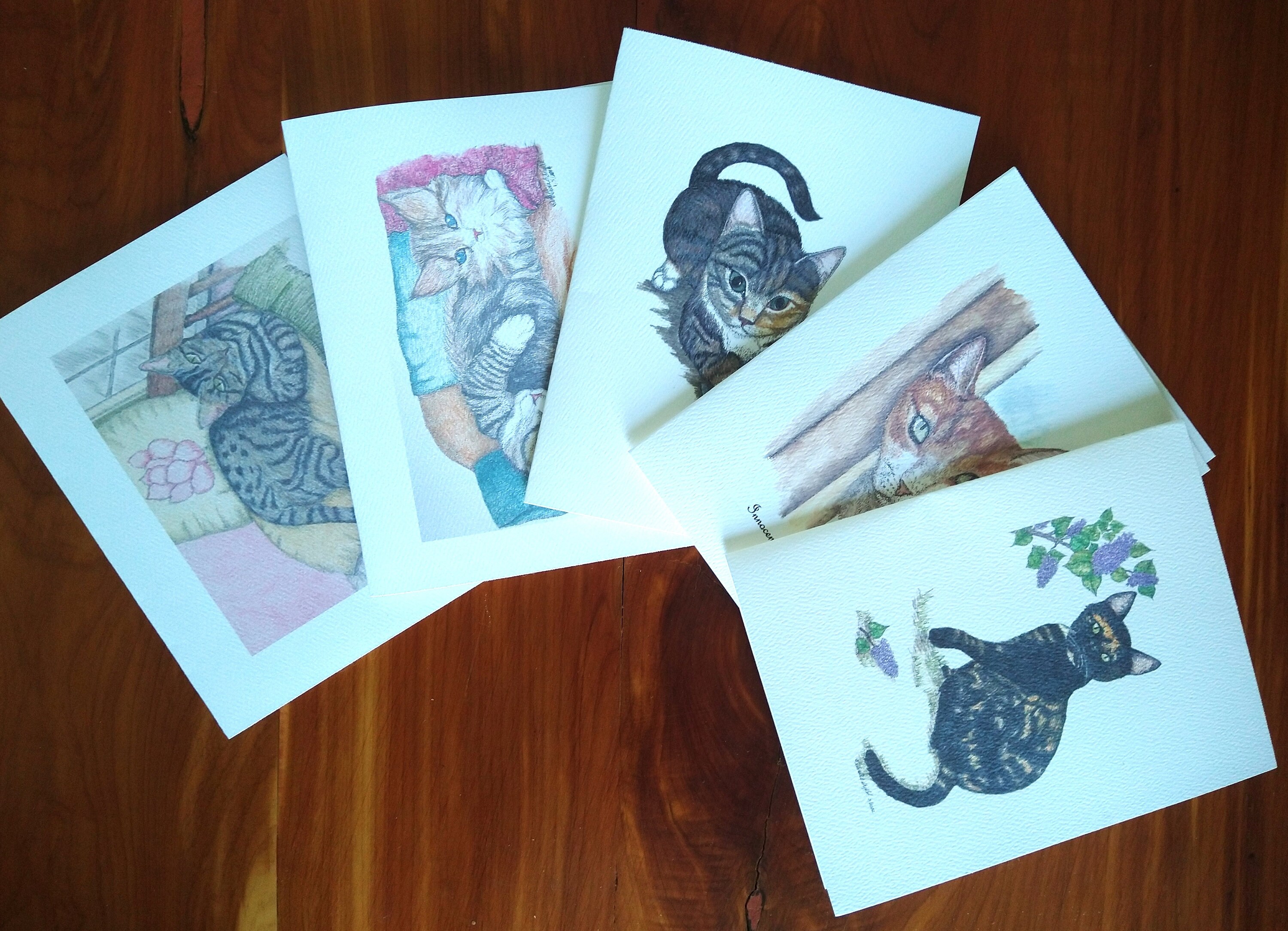 Cat Lovers Note Card Collection - Etsy