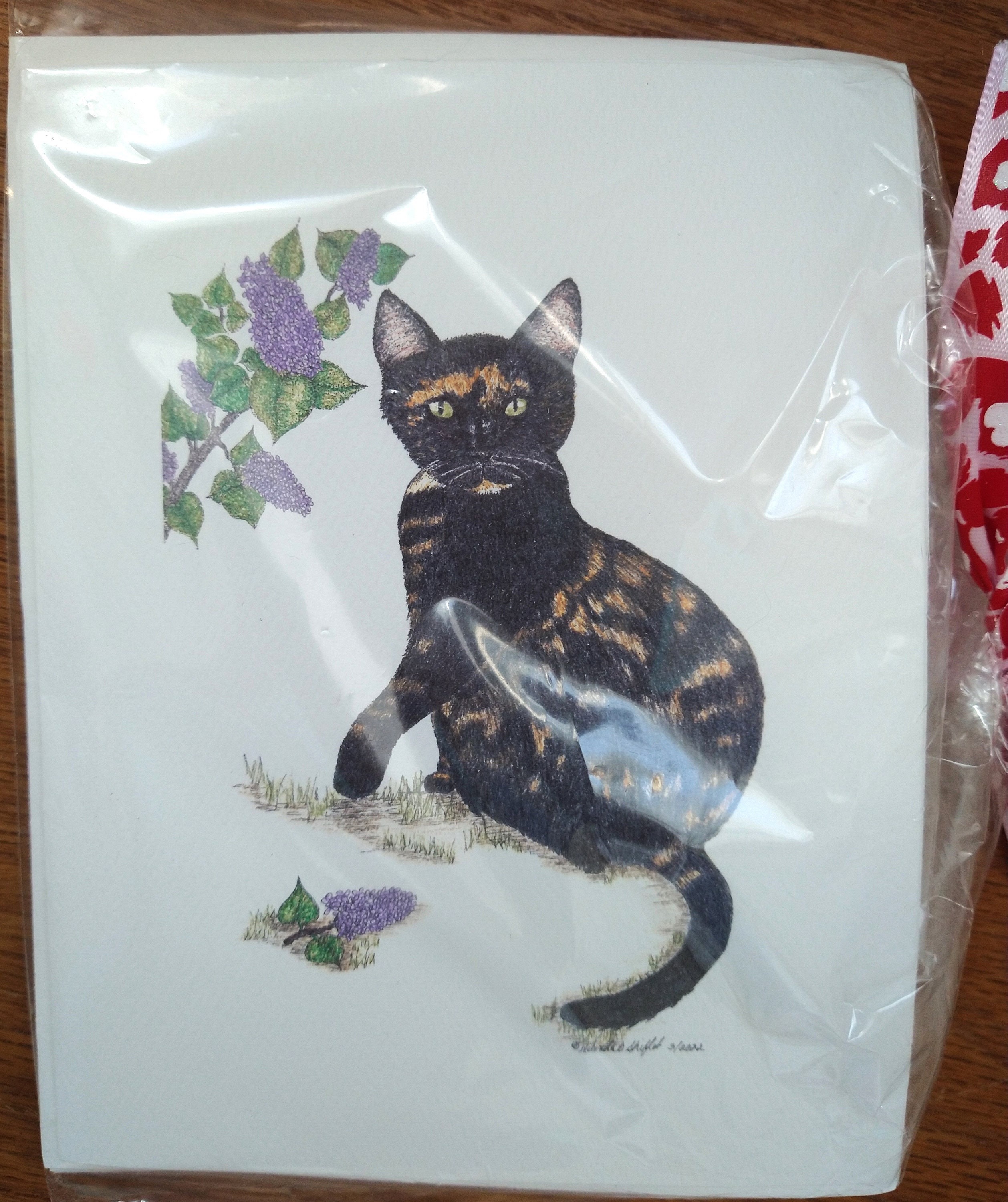 Tortoiseshell Cat Note Cards - Etsy