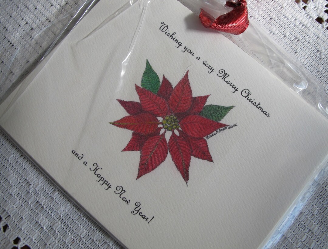 Pen and Ink Drawing of Poinsettia Christmas and Holiday Note Cards - Etsy