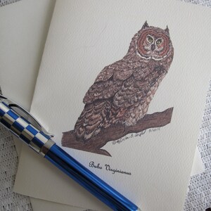 Bird Note Card Assortment Pack Illustrated With Pen and Ink and Colored ...