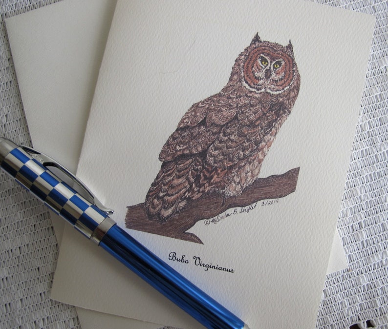 Bird Note Card Assortment Pack Illustrated With Pen and Ink and Colored ...