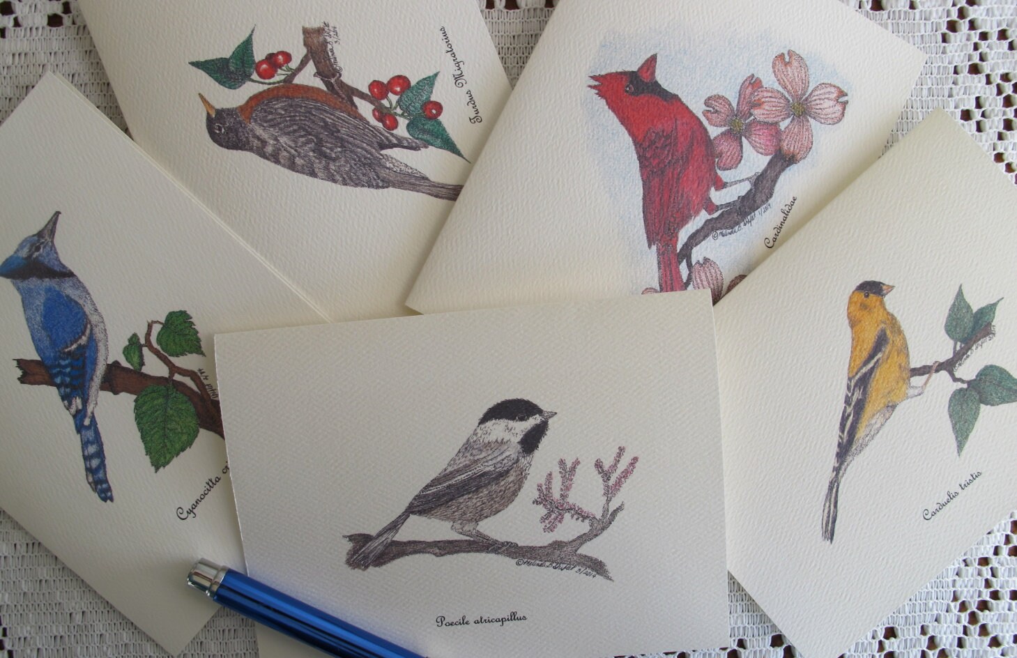 Bird Note Card Assortment Pack Illustrated With Pen and Ink and Colored ...