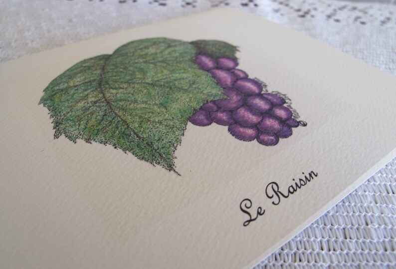 Pen and Ink Drawing on Note Cards of Grapes and Leaves - "le Raisin" - Etsy