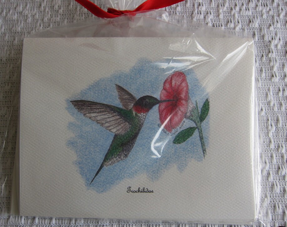 Bird Note Card Assortment Pack Illustrated With Pen and Ink and Colored ...