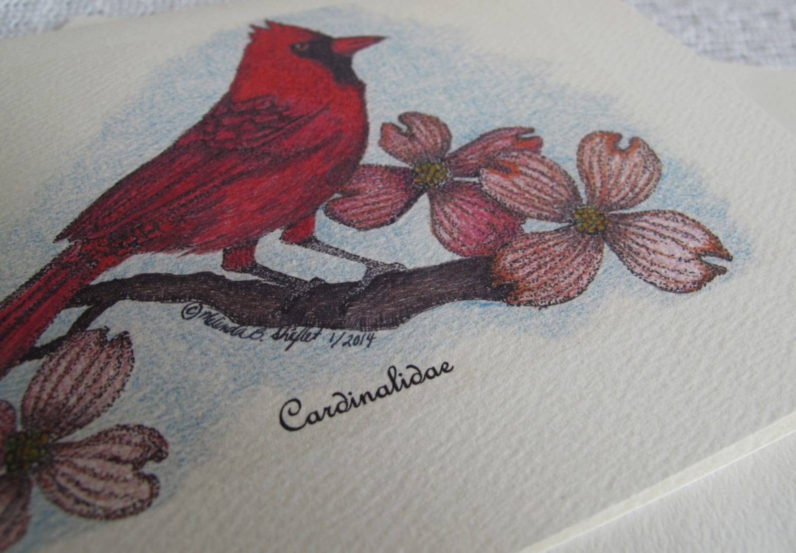 Pen and Ink Drawing of Cardinal and Dogwood Note Cards - Etsy Denmark