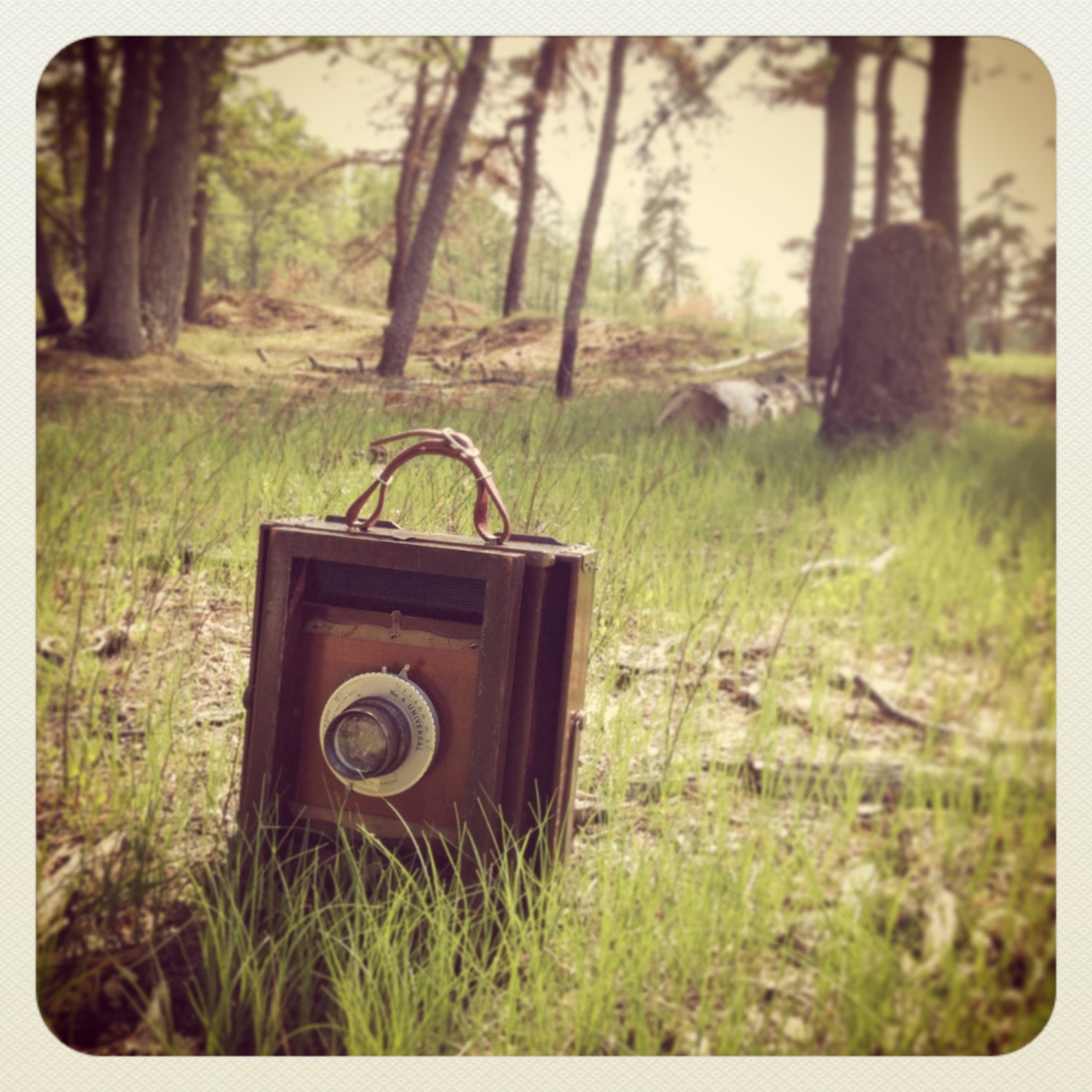 Wet Plate Collodion Photography Print Tree Landscape Fine Art Print ...