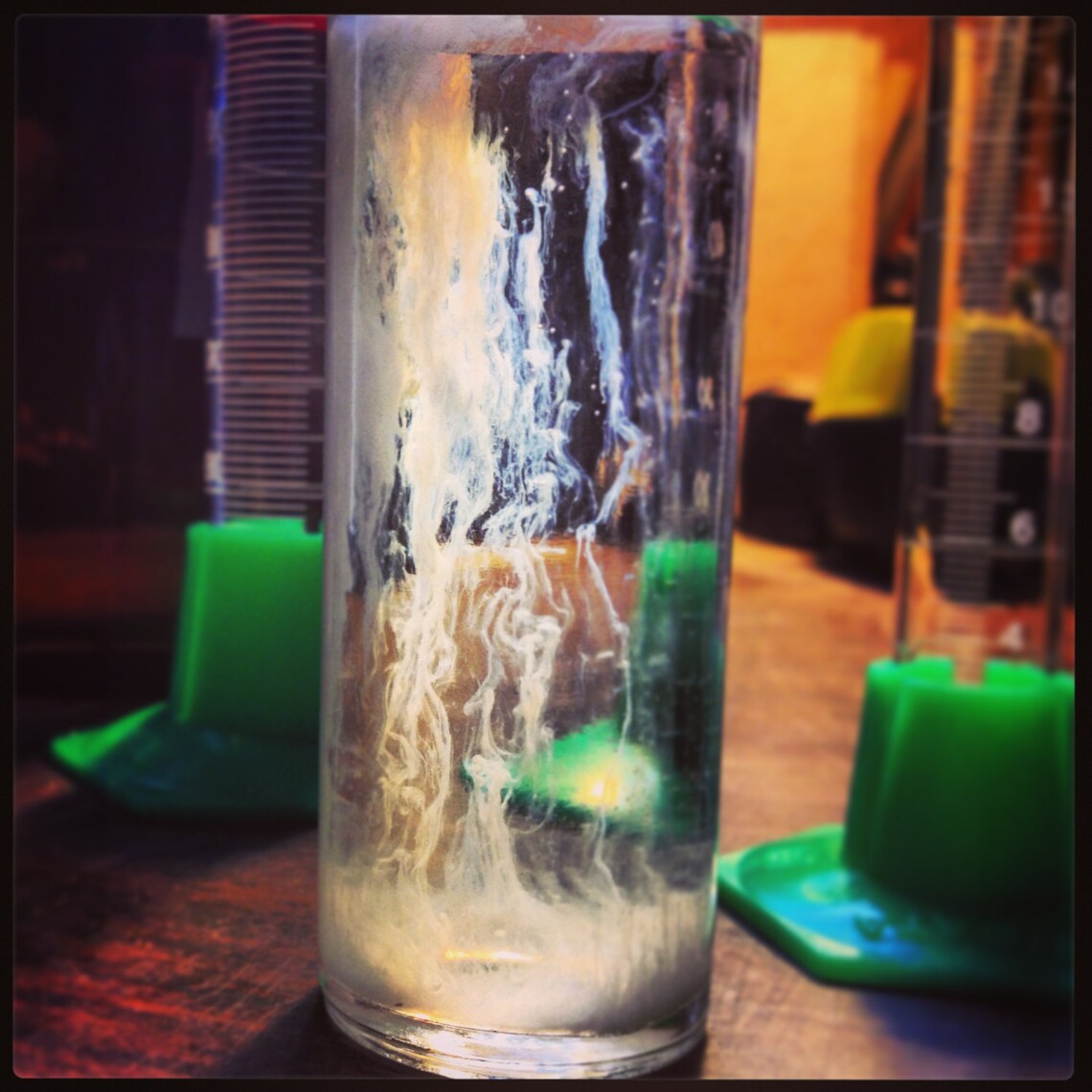 Wet Plate Collodion Photography Print - Deer Skulls Still Life - Fine ...